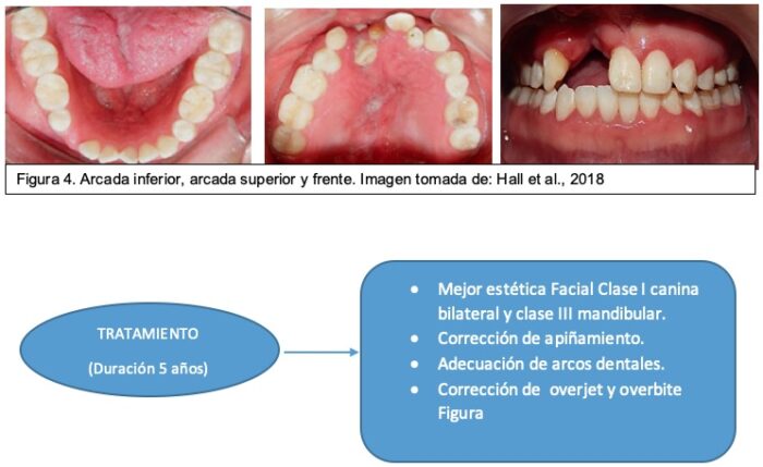 CEDHUM - Centro Educativo de Humanidades | TRATAMIENTO DE ORTODONCIA EN ...